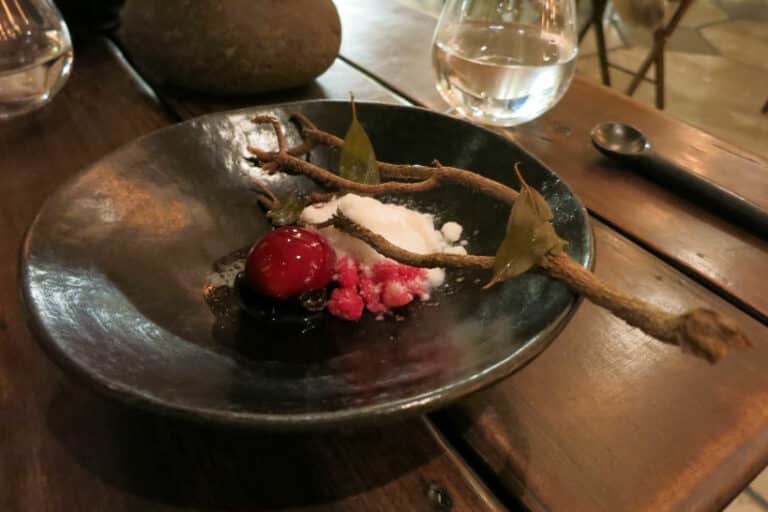 Borago With Rodolfo Guzman: Top Restaurant In Santiago Chile - Review