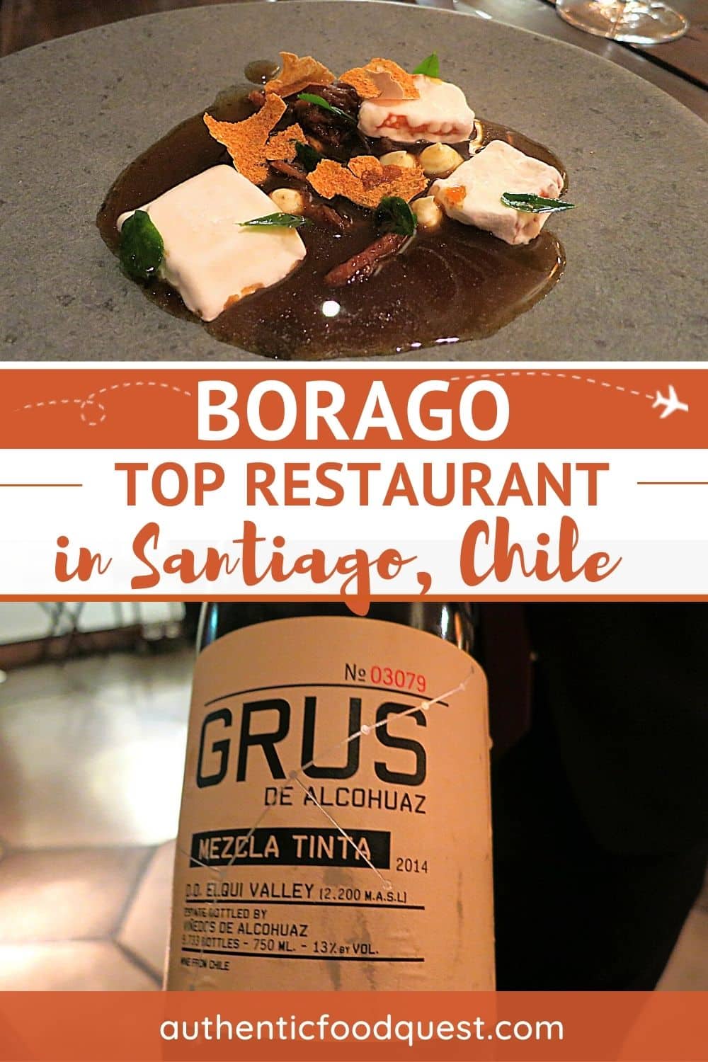 Borago With Rodolfo Guzman: Top Restaurant In Santiago Chile - Review