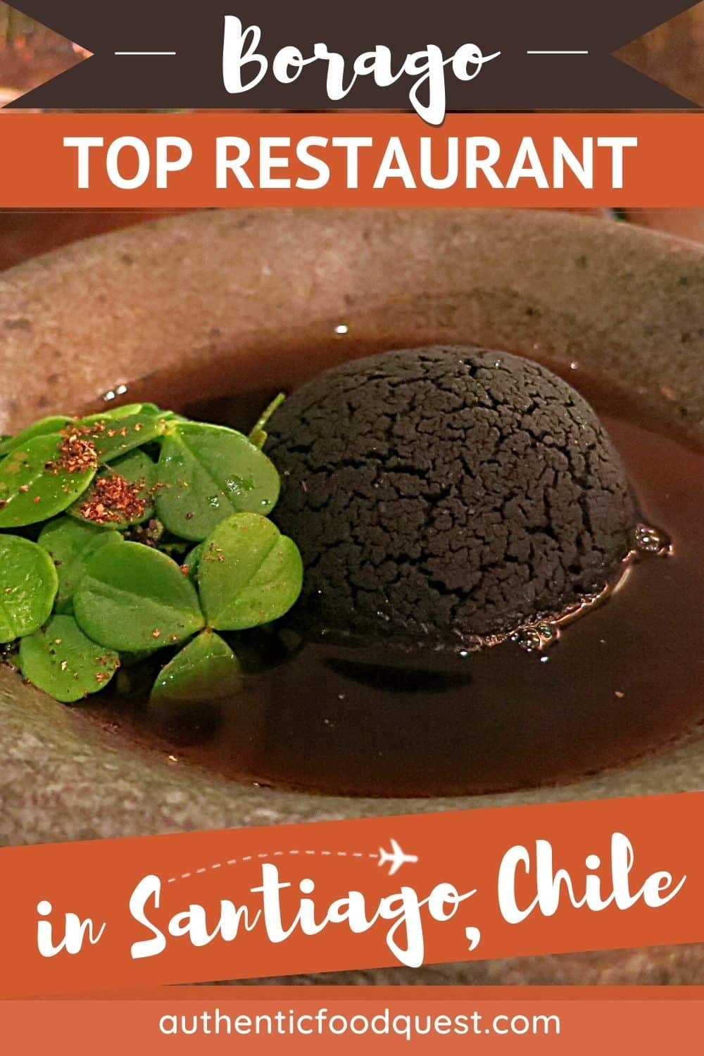 Borago With Rodolfo Guzman: Top Restaurant In Santiago Chile - Review