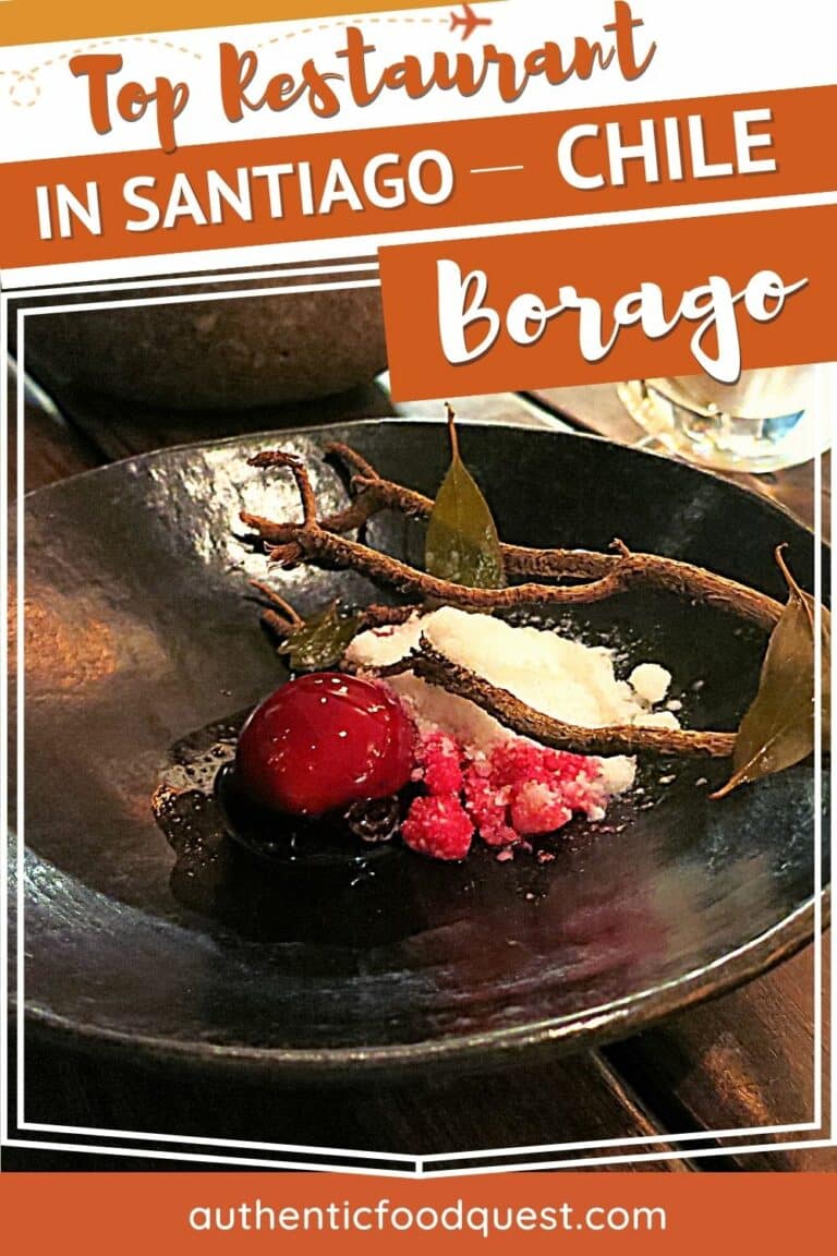 Borago With Rodolfo Guzman: Top Restaurant In Santiago Chile - Review