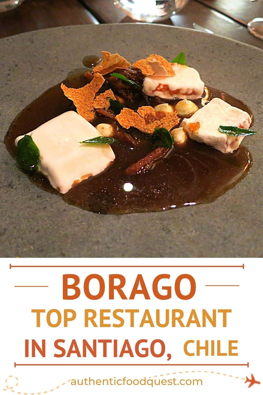 Borago With Rodolfo Guzman: Top Restaurant In Santiago Chile - Review