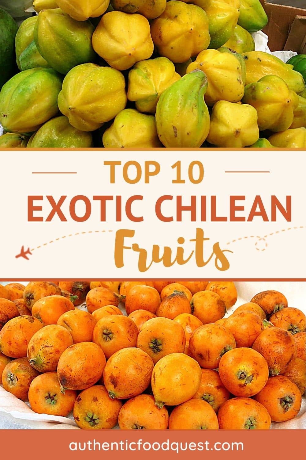 10 Surprising Exotic Chilean Fruits You’ll Want To Taste