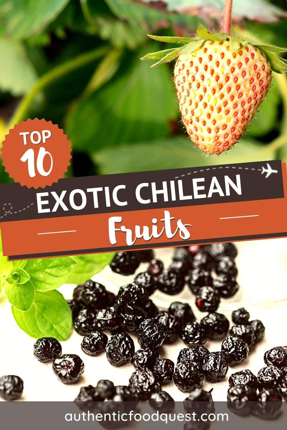 10 Surprising Exotic Chilean Fruits You’ll Want To Taste