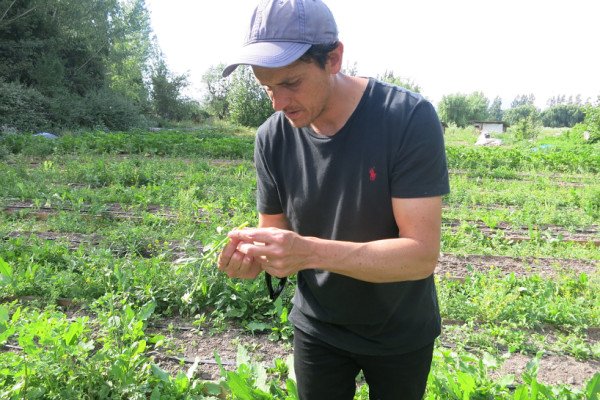 Borago With Rodolfo Guzman: Top Restaurant In Santiago Chile - Review