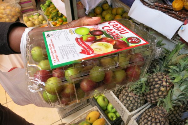 10 Strange Amazonian Fruits That Will Surprise You