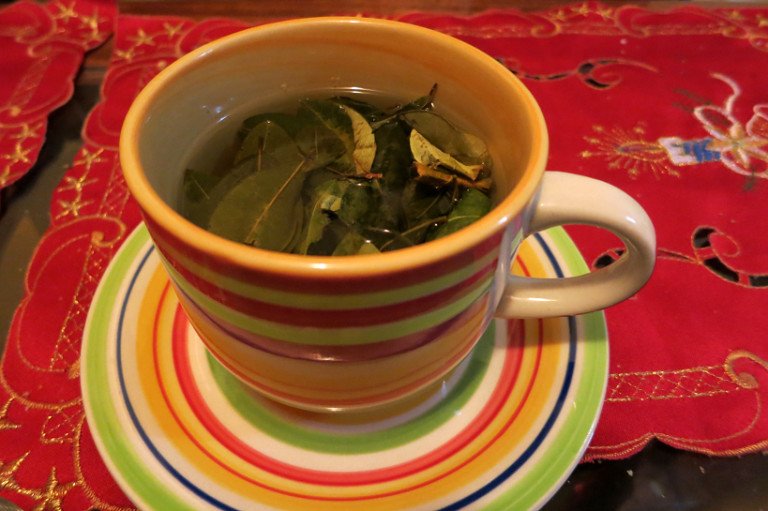 10 Authentic Peruvian Drinks You Will Absolutely Love