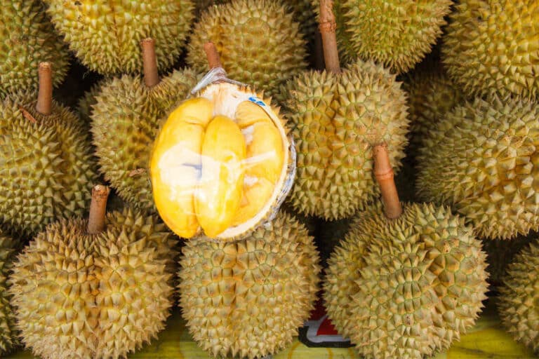 What Does Durian Taste Like: How To Appreciate It Despite Its Smell