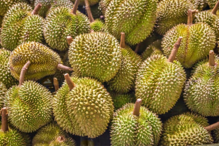 What Does Durian Taste Like: How To Appreciate It Despite Its Smell