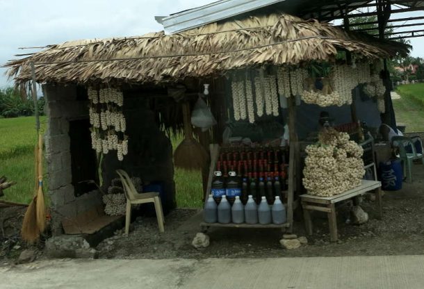 11 Unforgettable Ilocos Food To Delight Your Palate In The Philippines