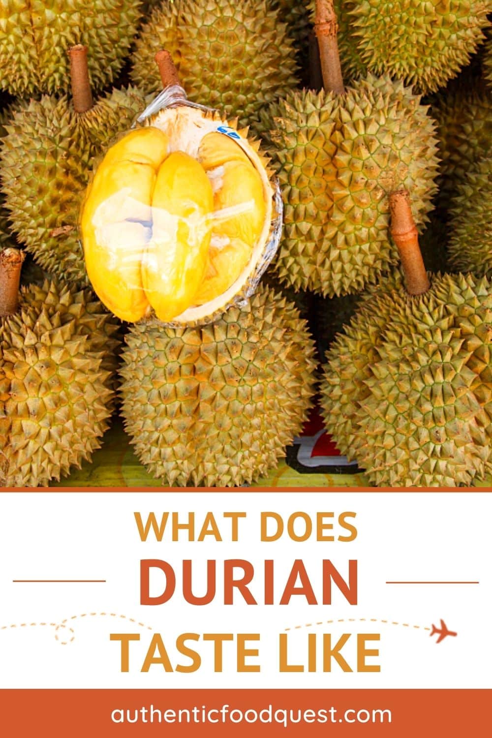 What Does Durian Taste Like: How To Appreciate It Despite Its Smell