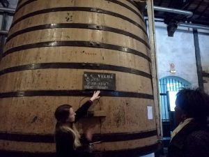 Port Tasting In Porto: 7 Of The Best Wine Cellars To Visit