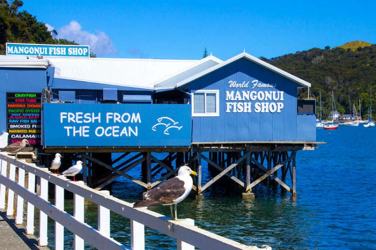 Top 10 Best Places To Enjoy Authentic New Zealand Food