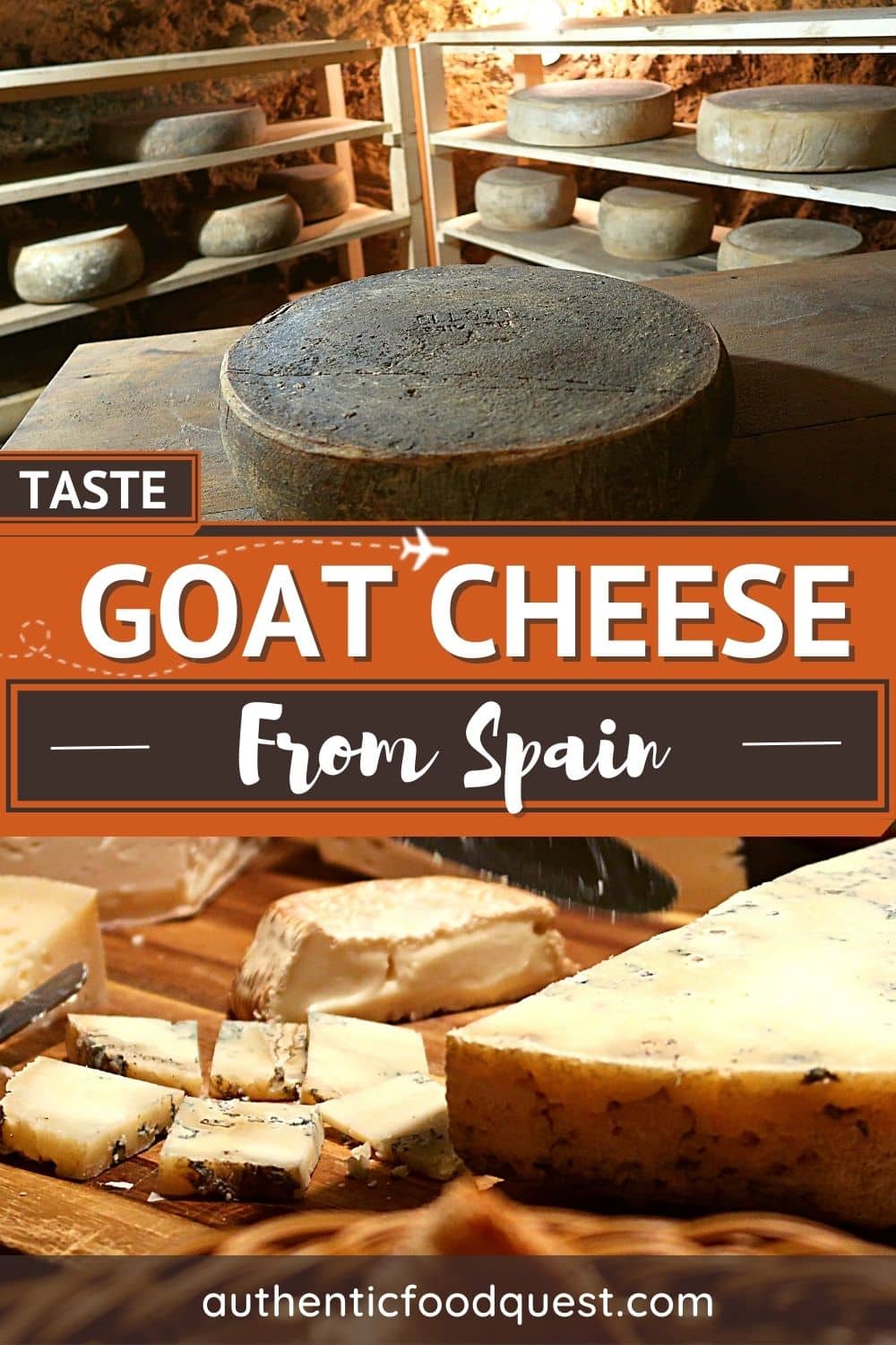 Taste Goat Cheese From Spain: The Story Behind Mas Alba Girona Cheesemaking