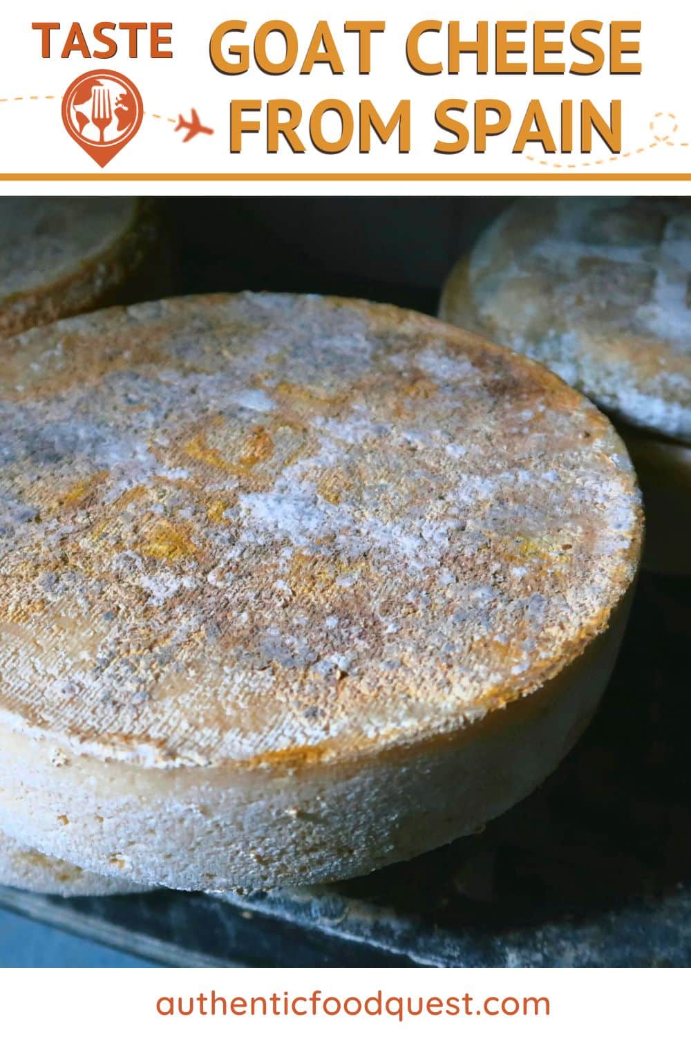 Taste Goat Cheese From Spain: The Story Behind Mas Alba Girona Cheesemaking