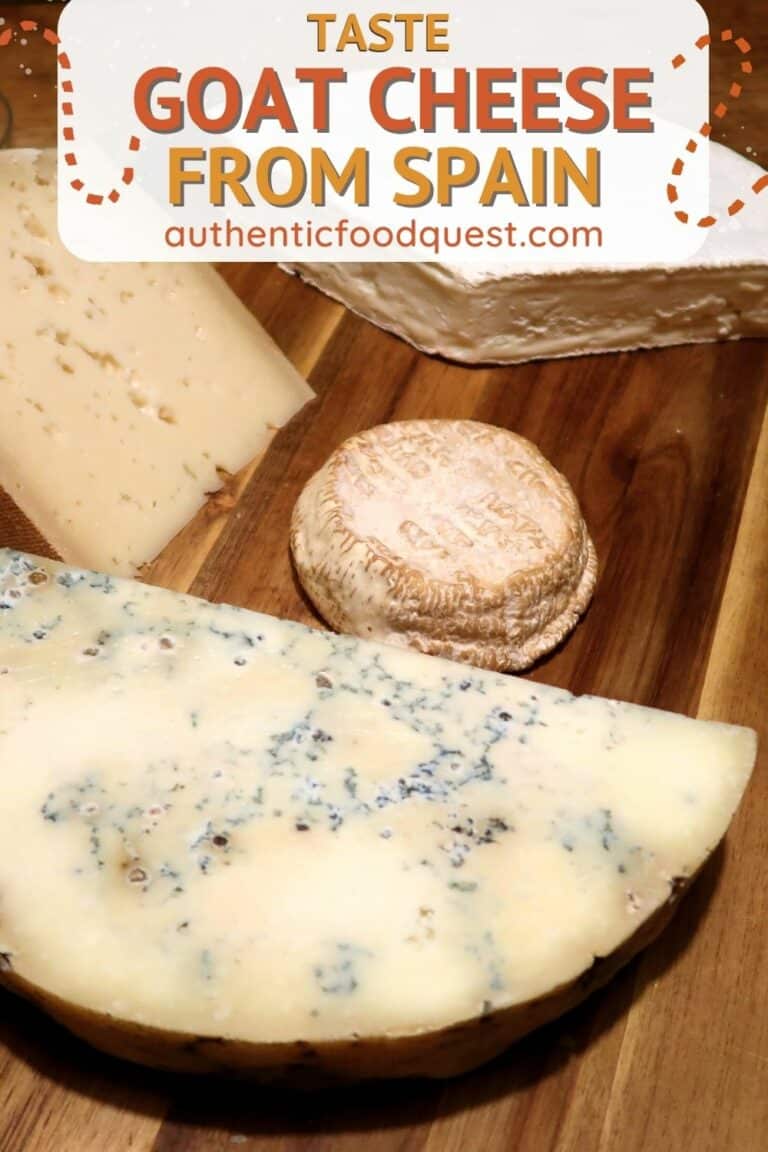 Taste Goat Cheese From Spain: The Story Behind Mas Alba Girona Cheesemaking