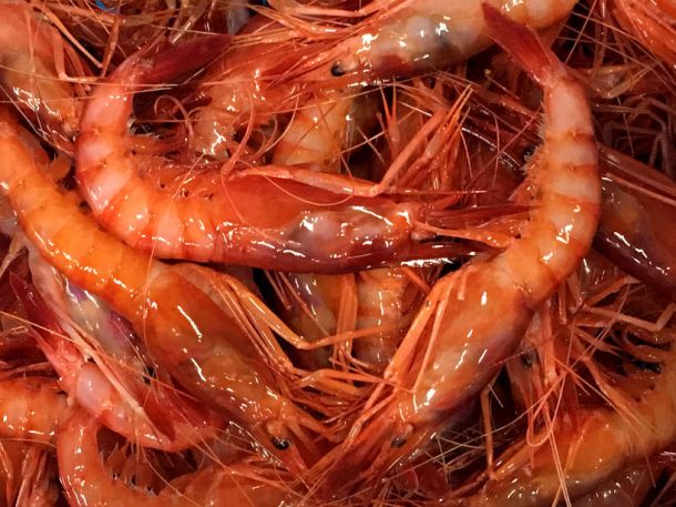 Gambas De Palamos: A Fascinating Day In The Life Of A Fisherman