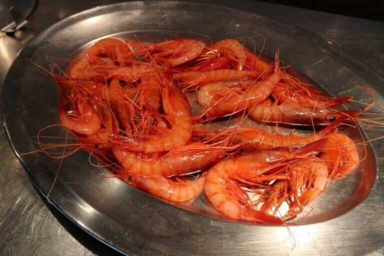 Gambas De Palamos: A Fascinating Day In The Life Of A Fisherman