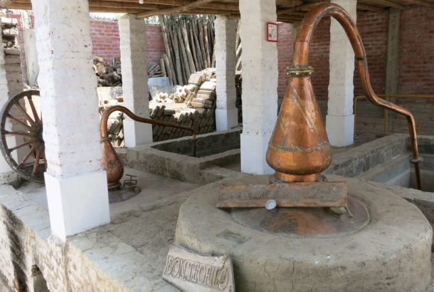 How To Visit A Pisco Winery: Day Trip From Lima To Lunahuana