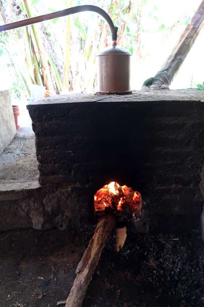 Oaxaca Mezcal Tour With Award Winning Geü Beez Distillery