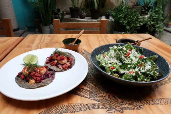 Authentic Oaxaca Restaurant Guide: Top 14 Restaurants You Want To Try ...