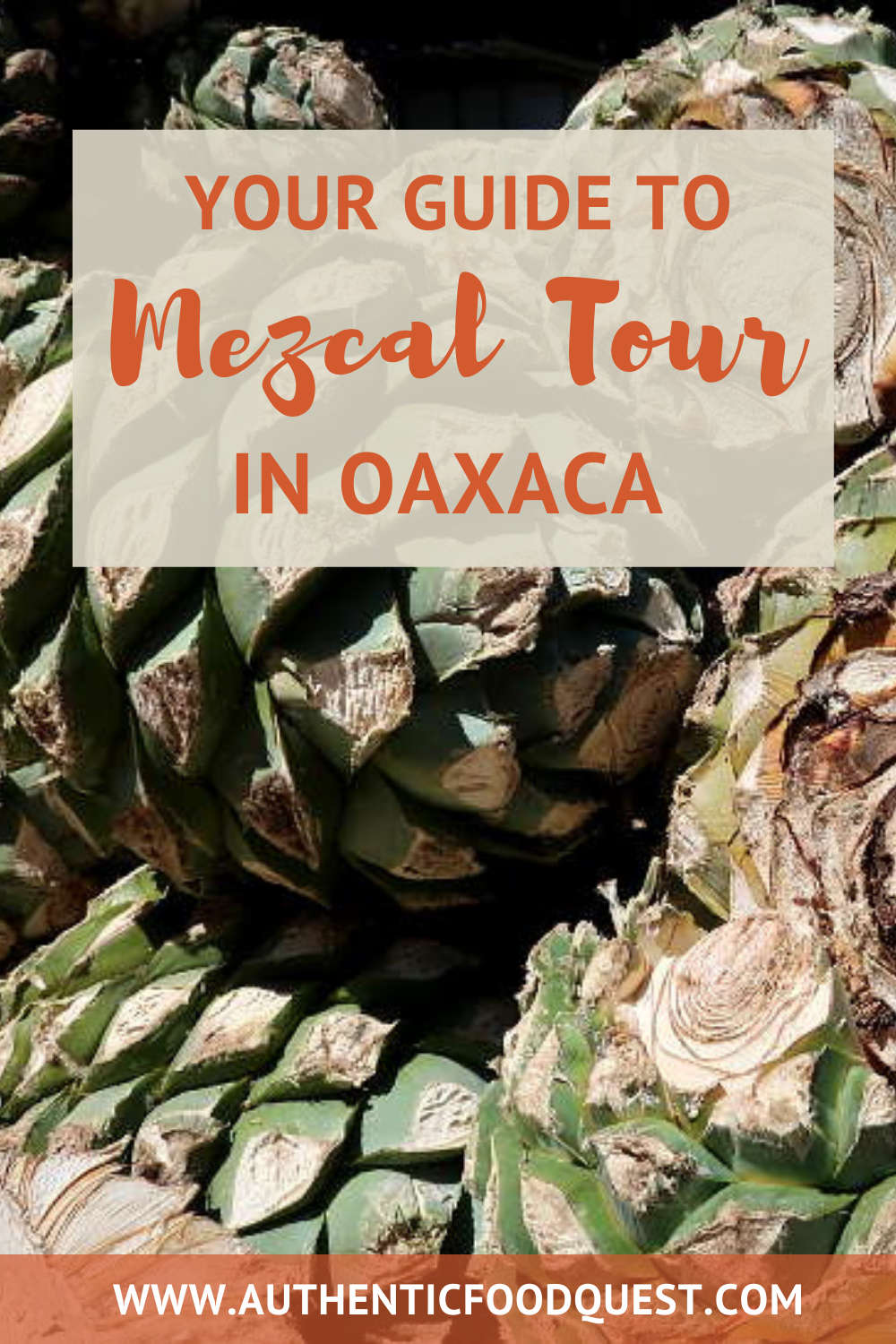 Oaxaca Mezcal Tour With Award Winning Geü Beez Distillery