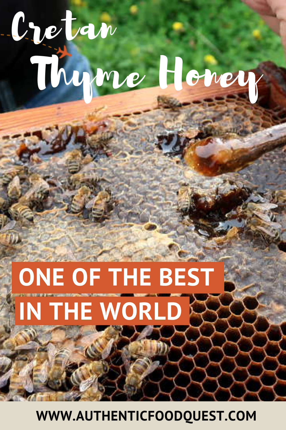 Why Thyme Honey From Crete Is One Of The Best In The World