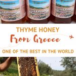 Why Thyme Honey From Crete Is One Of The Best In The World
