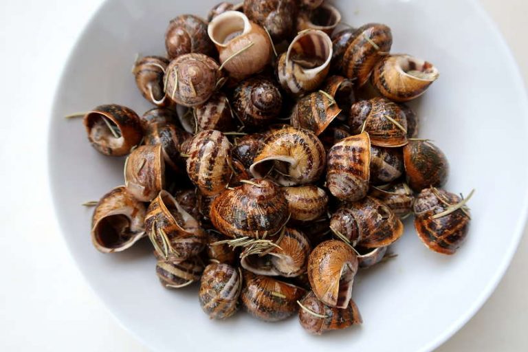 Food In Crete: Your Guide To The Best Authentic Food On The Island