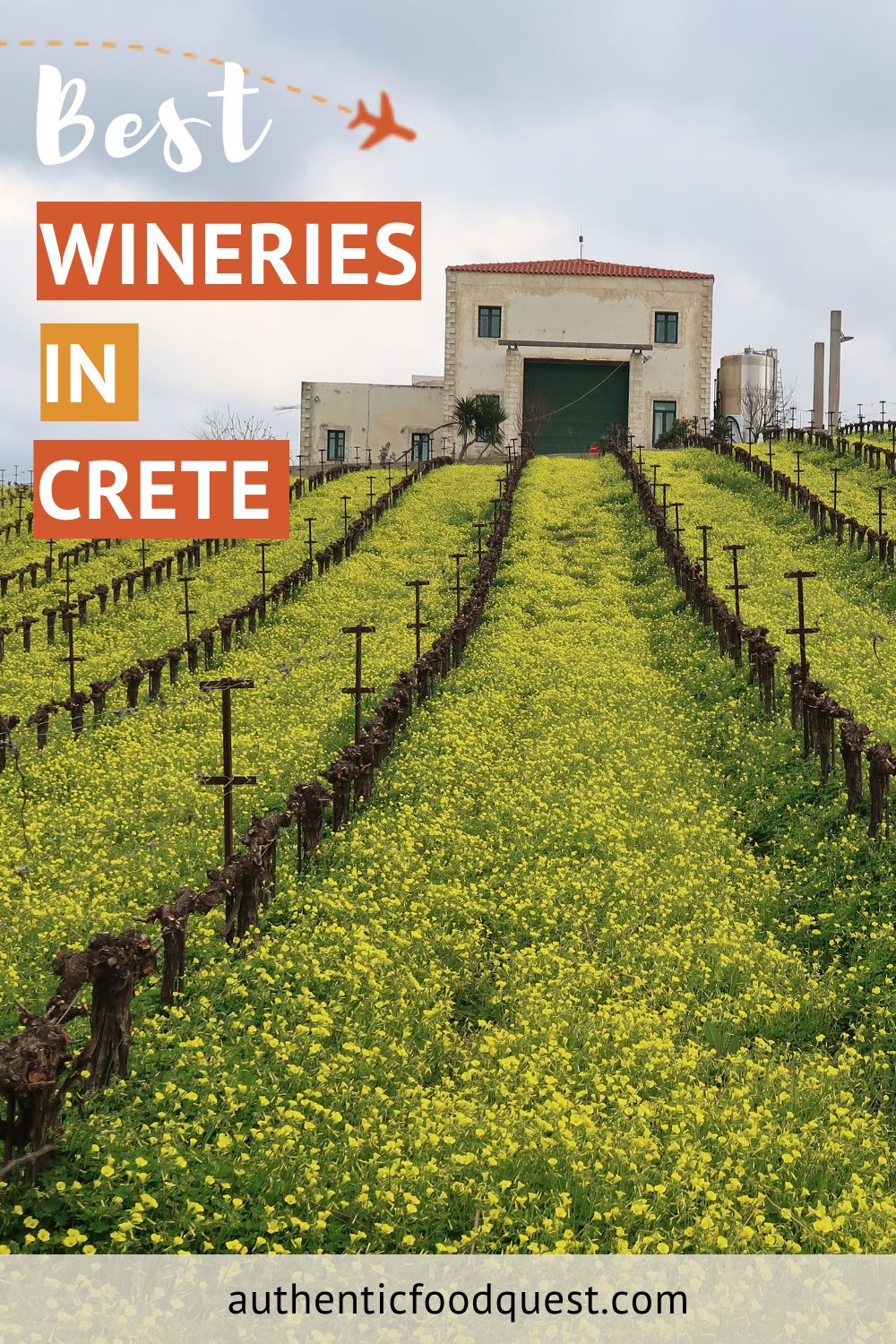 6 Amazing Wineries In Crete For Authentic Greek Wine Lovers