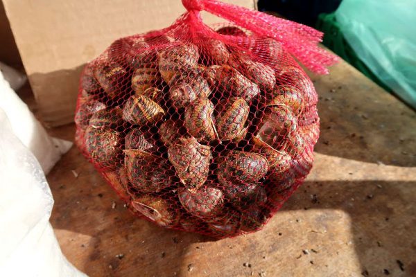 Food In Crete: Your Guide To The Best Authentic Food On The Island