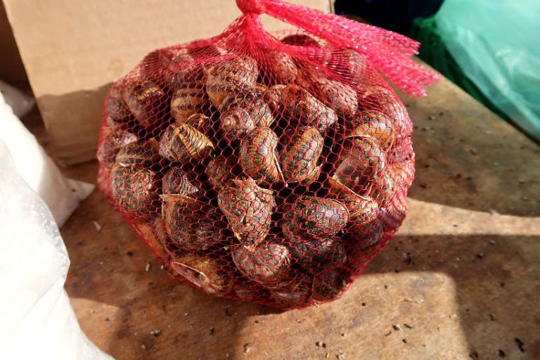 Food In Crete: Your Guide To The Best Authentic Food On The Island