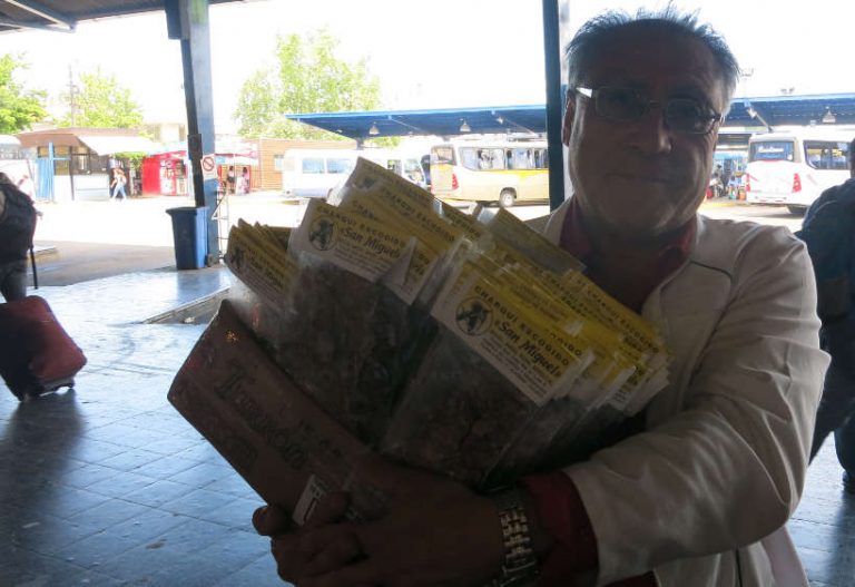 Llama Meat: 5 Authentic Dishes From The Andes That Will Surprise You