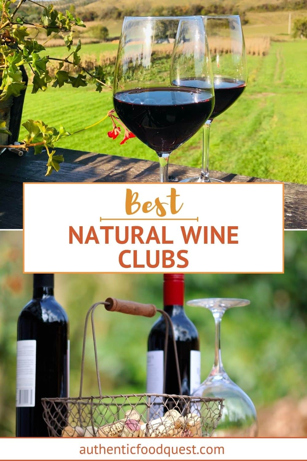 7 Best Natural Wine Clubs In 2024