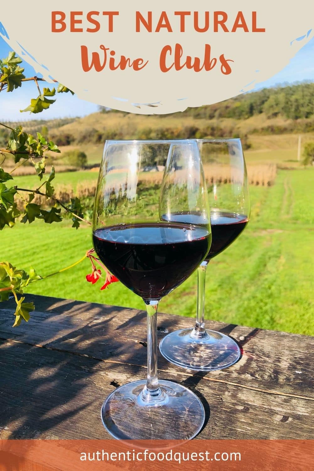 7 Best Natural Wine Clubs In 2024