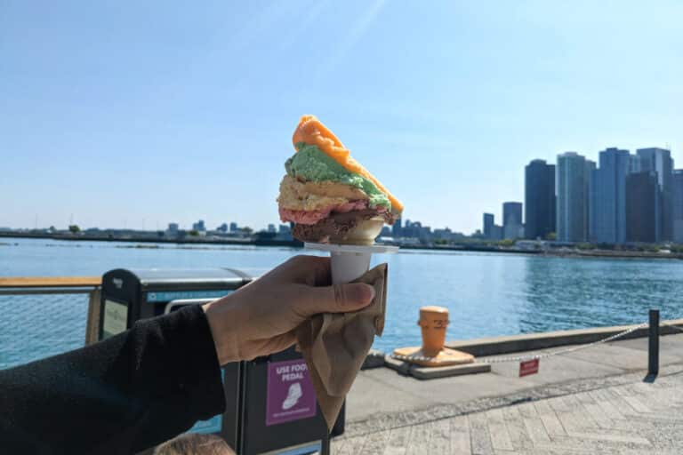 10 Famous Chicago Foods You Must Try While In The Windy City