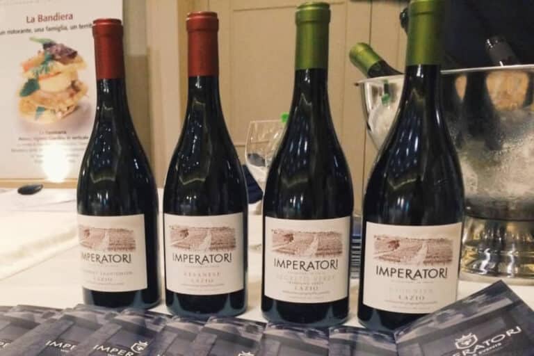 10 Amazing Wine Tours From Rome For The Ultimate Wine Adventure