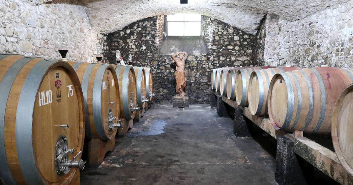 12 Scenic Chianti Wine Tours From Florence For Tastings & Sightseeing