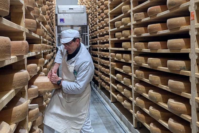 Savoring Comte Routes: Perfect Cheese Road Trip In France