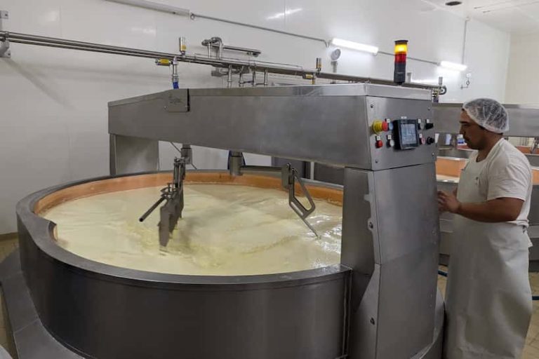 Savoring Comte Routes: Perfect Cheese Road Trip In France