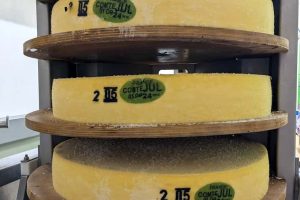 Savoring Comte Routes: Perfect Cheese Road Trip In France